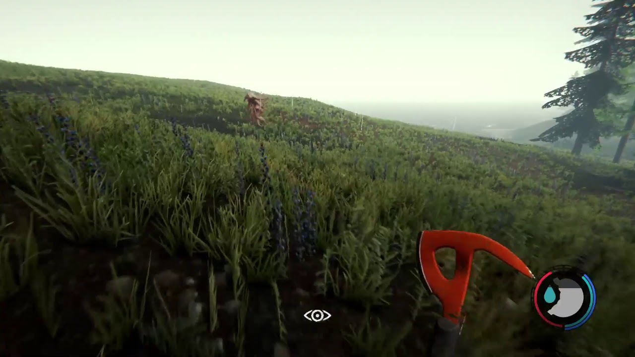 The Forrest day 6 - YouTube