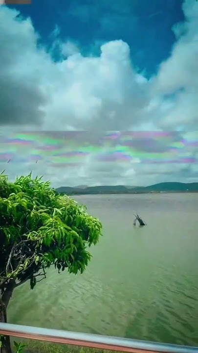 Create your own sunshine on even the cloudiest days🩷🥰#lifestylevlogs # ...