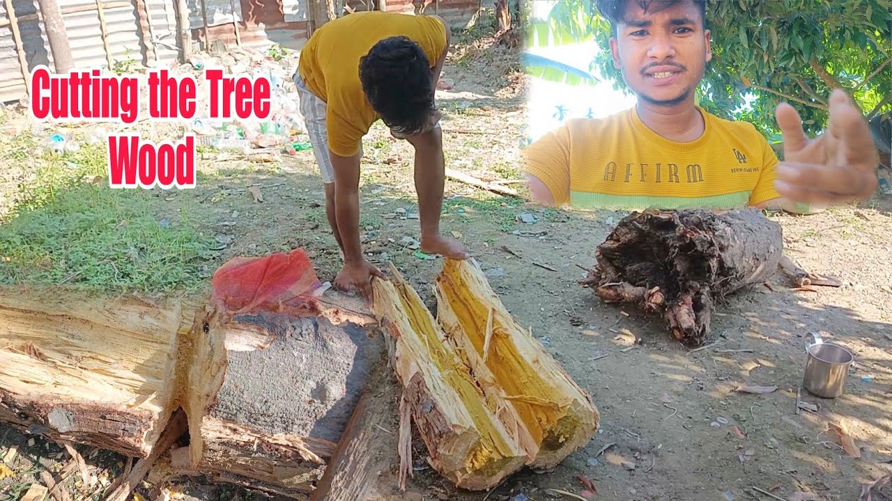 पेड ़ की लकड़ी काटना🥺 (Cutting the Tree Wood) - YouTube