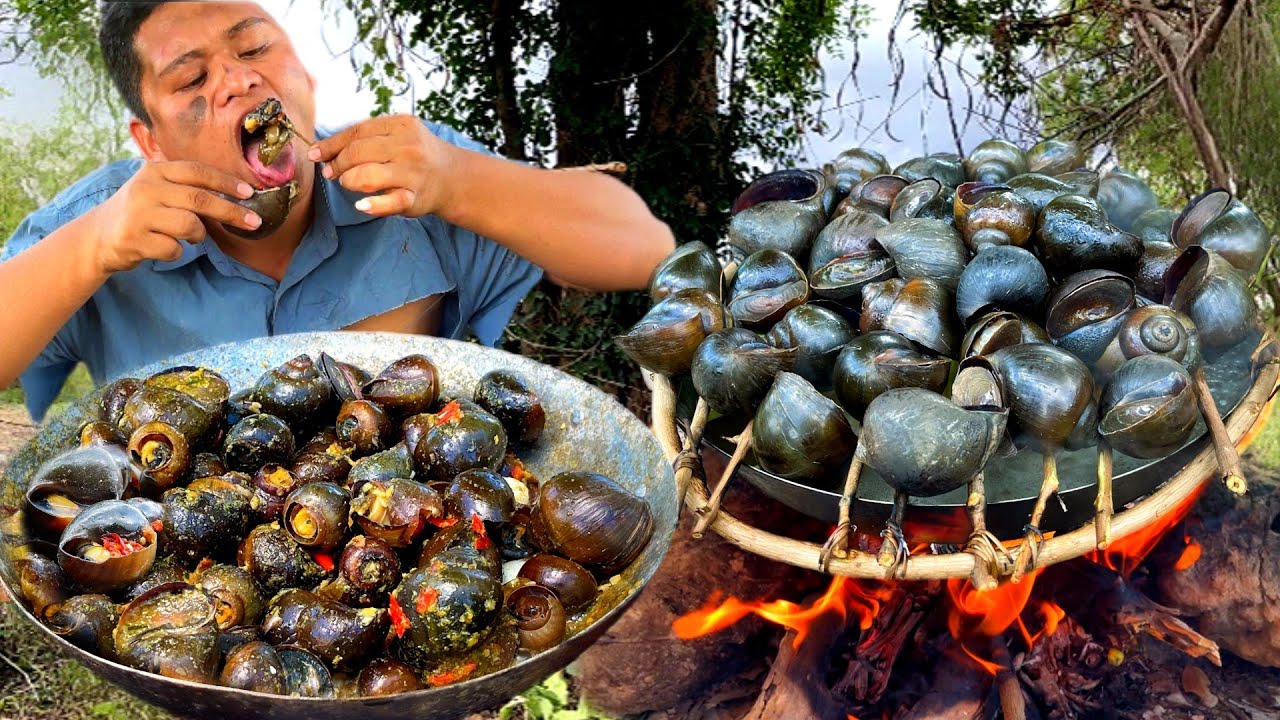 Snail Cooking: Adventure In The Jungle eating delicious for Lunch ...