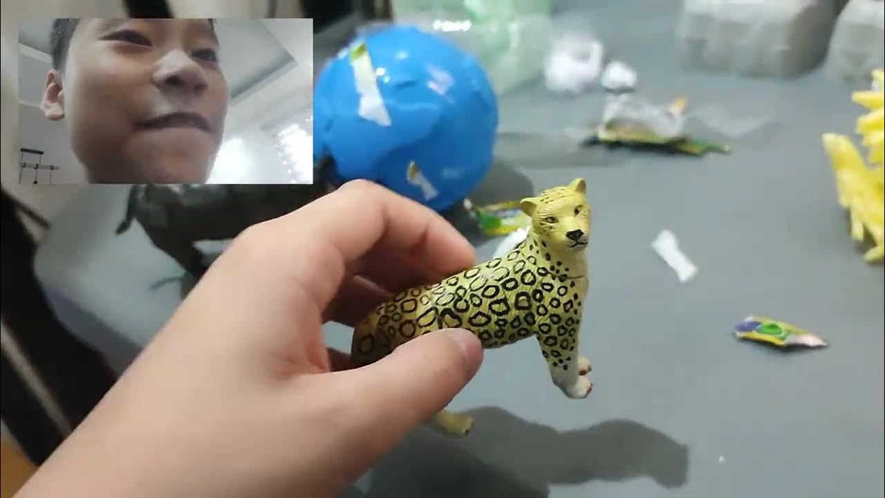 4D Puzzle Zoo DX No.20 - YouTube