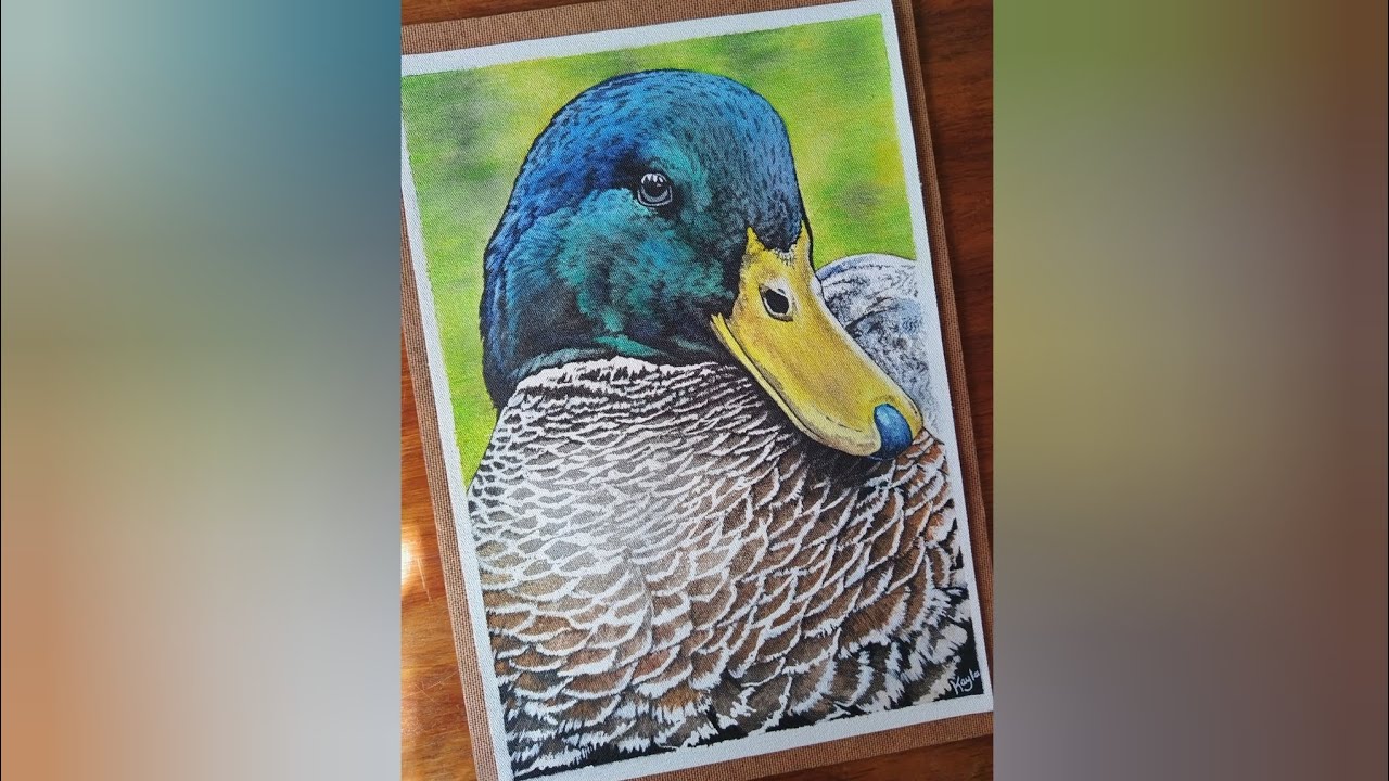 Duck 🦆 #watercolor #painting #tutorial #art #birds #wildlife - YouTube