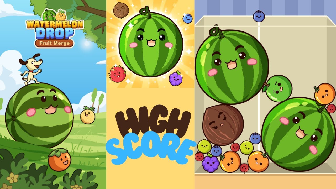 Watermelon Drop : Fruit Merge Master | High Score | Gameplay - YouTube