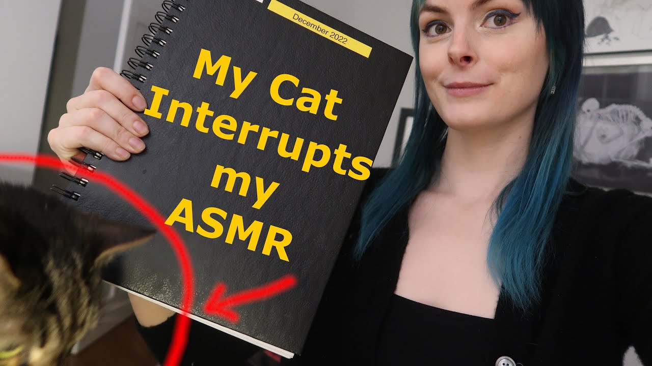 My Cat Interrupts my ASMR! Binaural Cat Scratching and Purrs, Soft ...