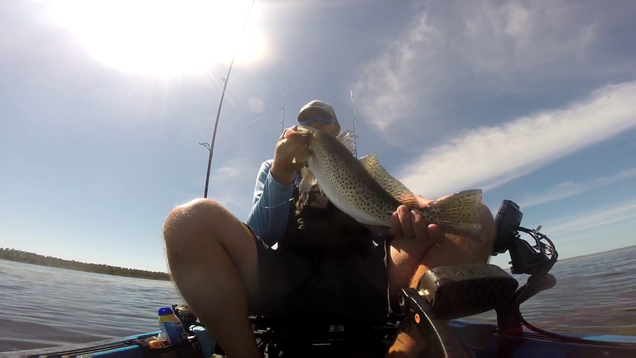 Inshore Slam plus Cobia - YouTube