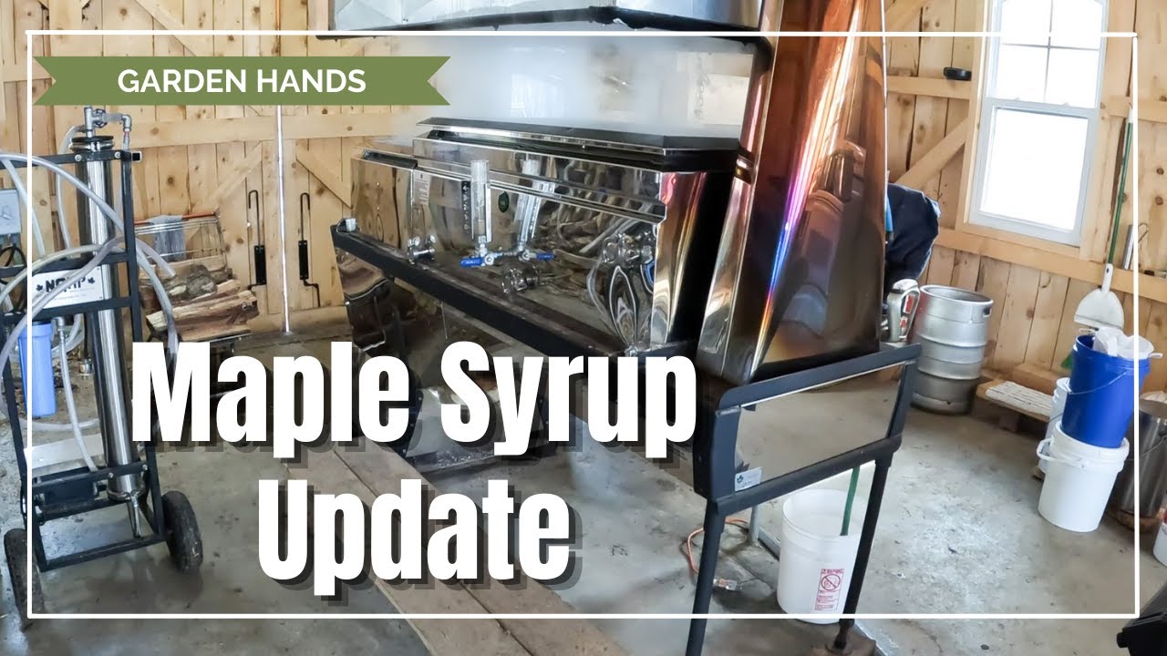 Maple Syrup Season | Midseason Boiling Update & Walkthrough - YouTube