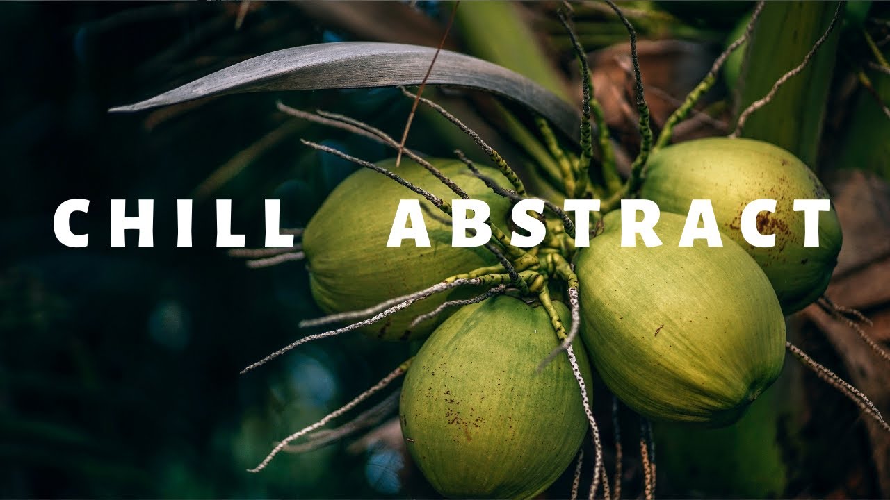 Chill Abstract Intention Showreel Downloadable Track Exciting ...