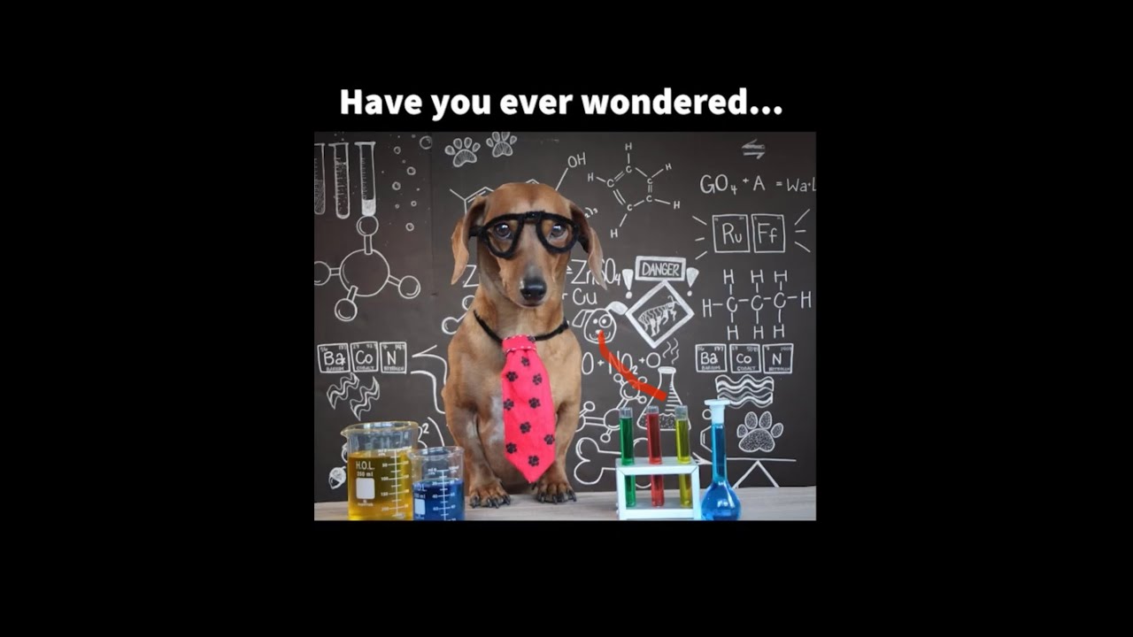 A Day in the Life of a Cytologist - Happy National Cytotechnology Day ...