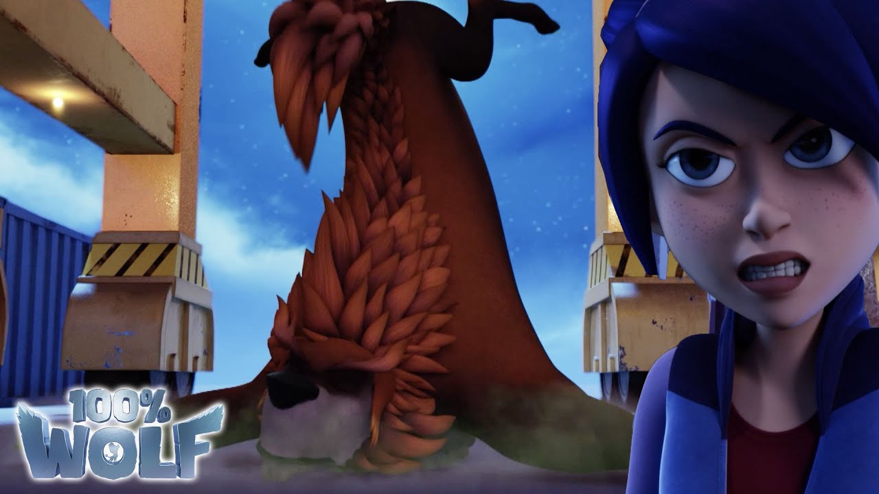 The Werewolf Hunter! | Best Moments Season 1 | 100% Wolf🐺🐩 - YouTube