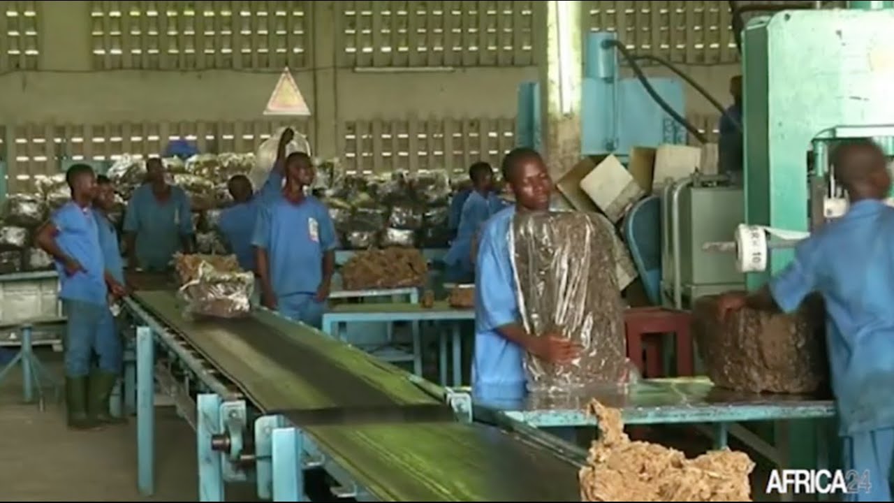 Côte d’Ivoire - Caoutchouc : les capacités de la SAPH passent à 1,4 ...