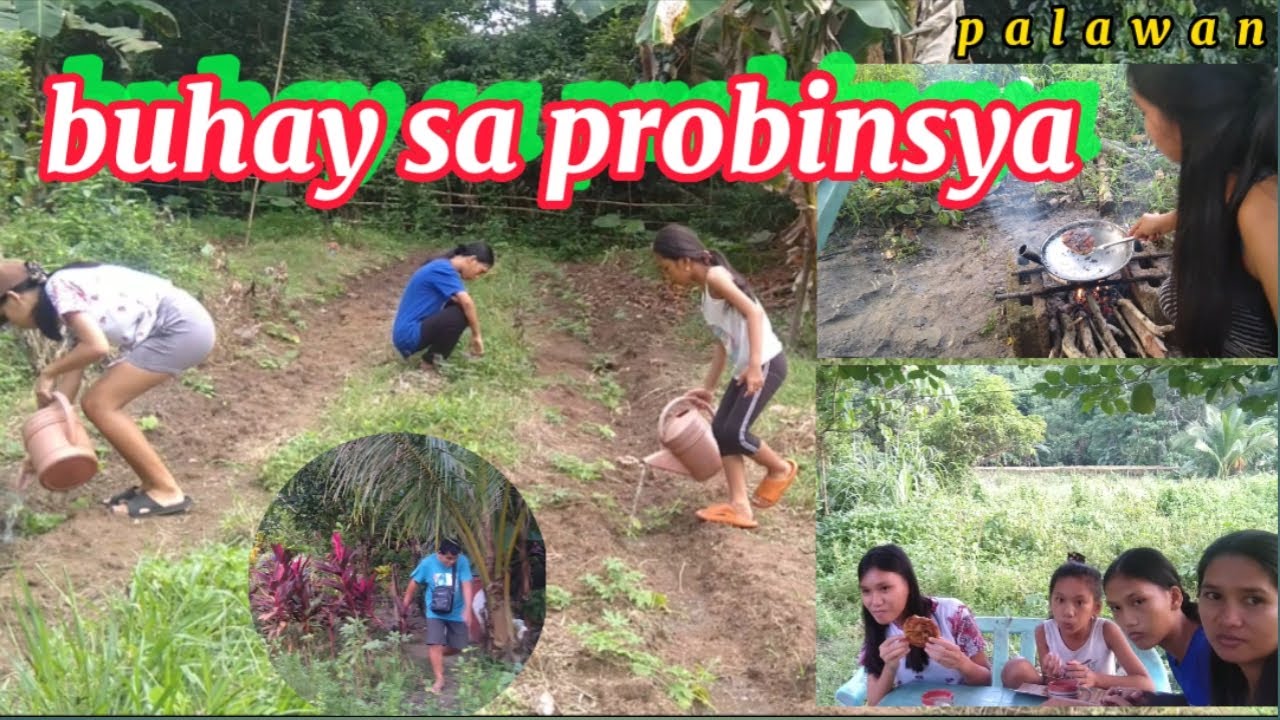 EP11:PAG TULONG SA MGA GAWAING BAHAY/pagdidilig sa garden/ paglilinis ...