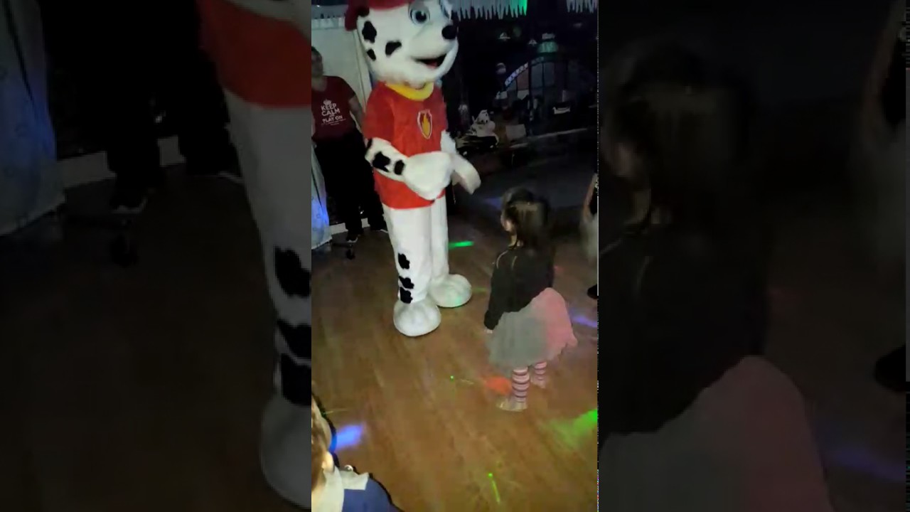 Paw patrol dance party - YouTube