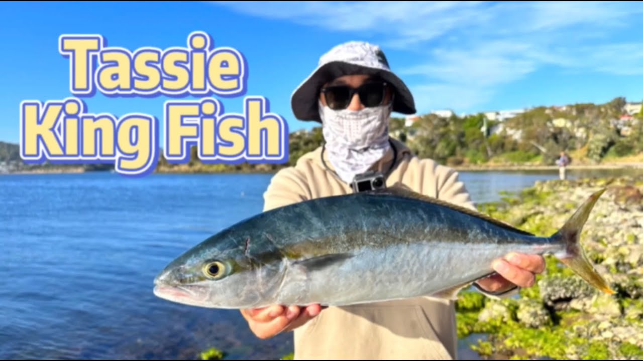 Tassie Kingfish Landed Under The Tasman Bridge - YouTube