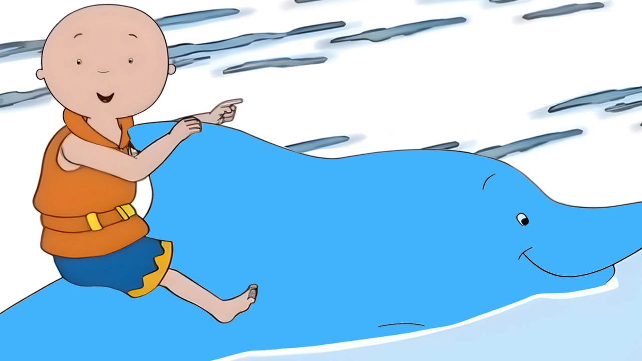 Caillou Rides a Dolphin | Caillou Cartoon - YouTube