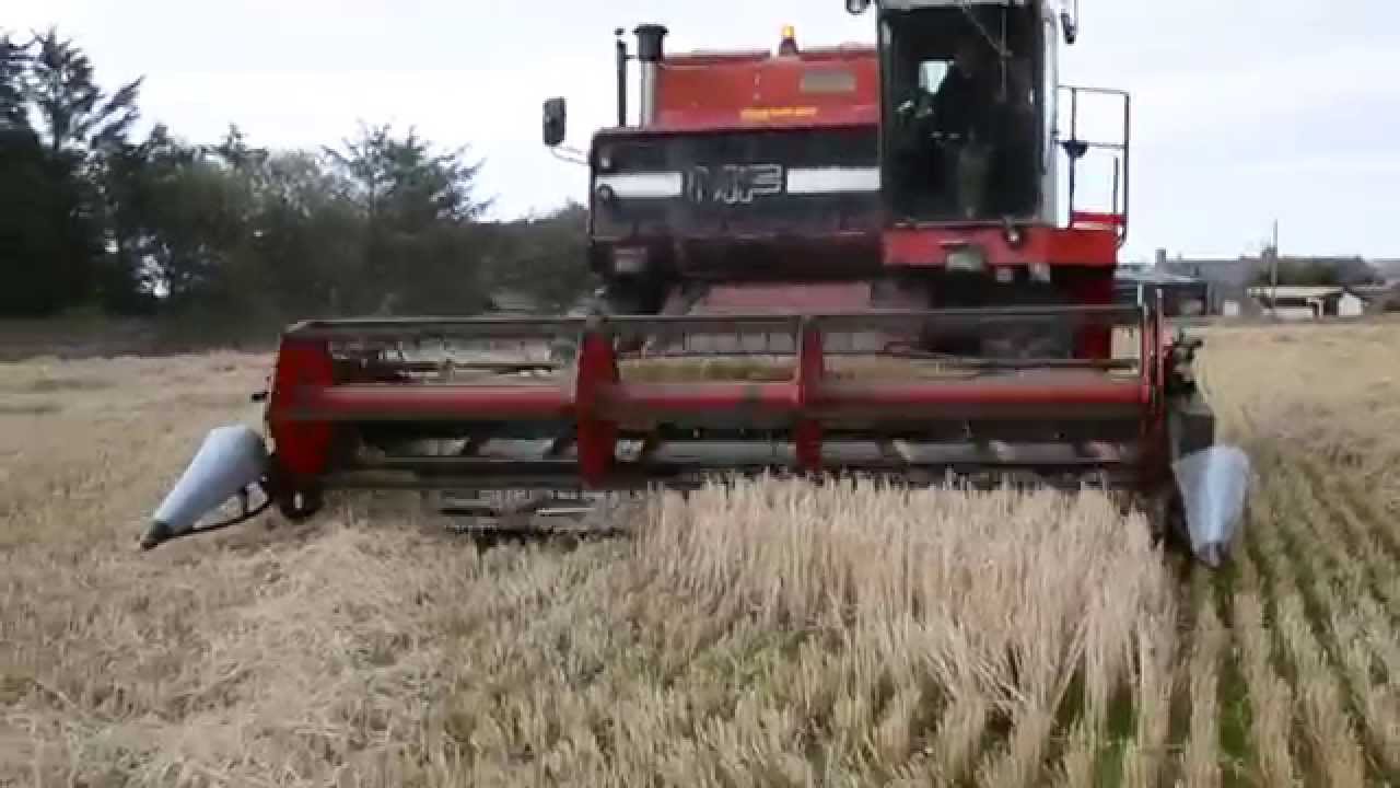 Massey Ferguson. 860 combine working in Aberdeenshire - YouTube
