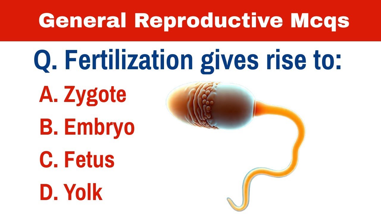 General knowledge questions and answers about Ovulation, Fertilization ...