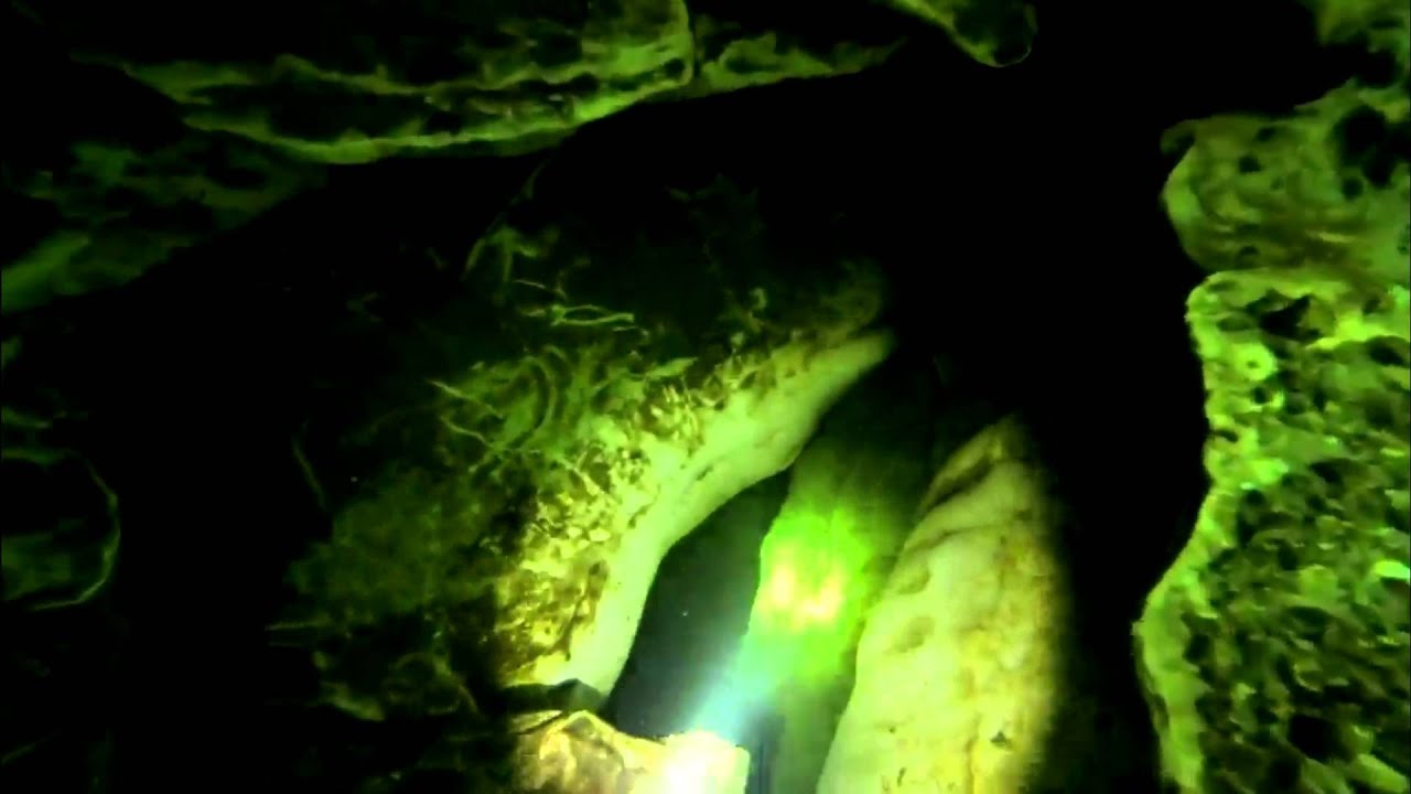 Blue Springs Free diving GoPro - YouTube