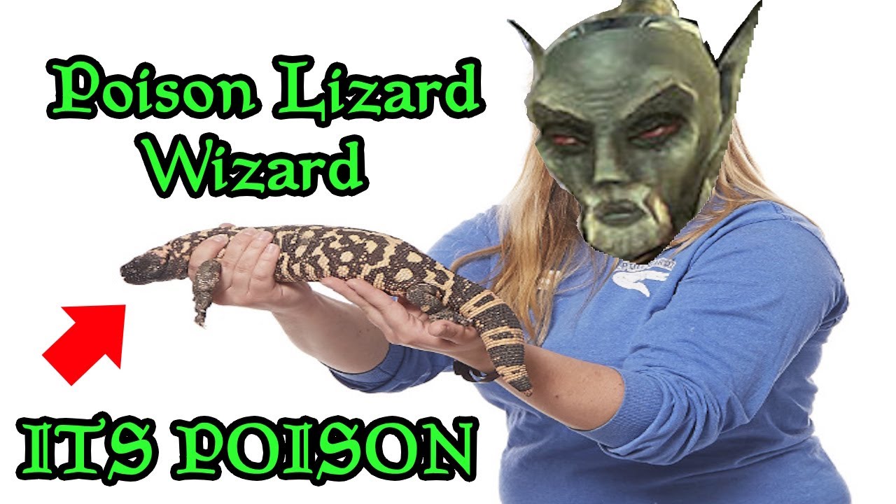 Morrowind Build Guide - Poison Lizard Wizard - YouTube