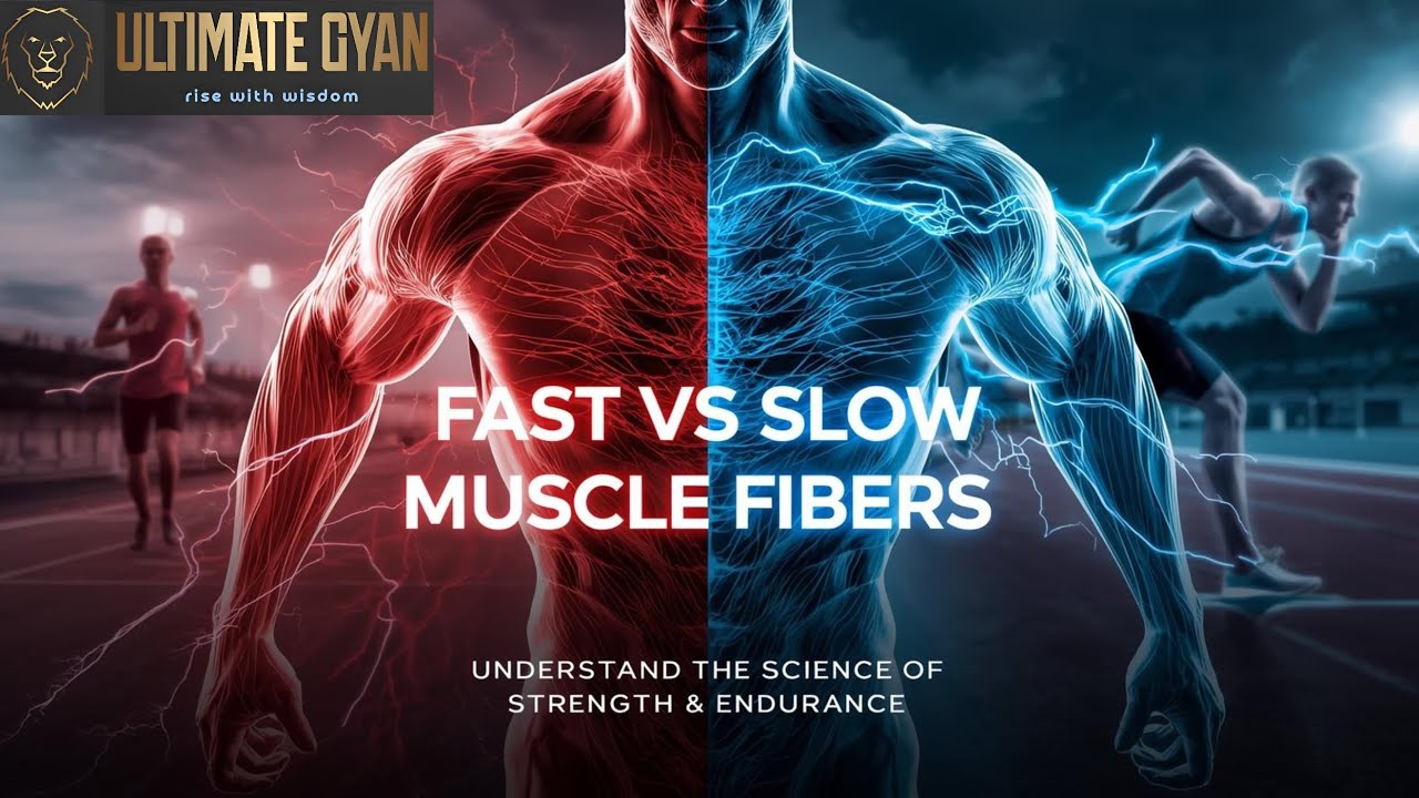 The Secret of Strength & Endurance 07 | Fast-Twitch vs Slow-Twitch ...