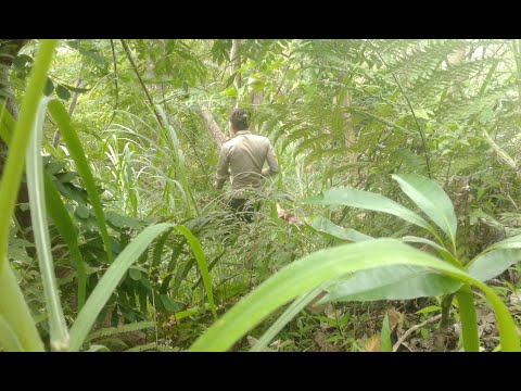 Bokep terbaru detik-detik pengerebekan pas lagi ena-enak jangan dibuka, dan jangan ditonton ya ...