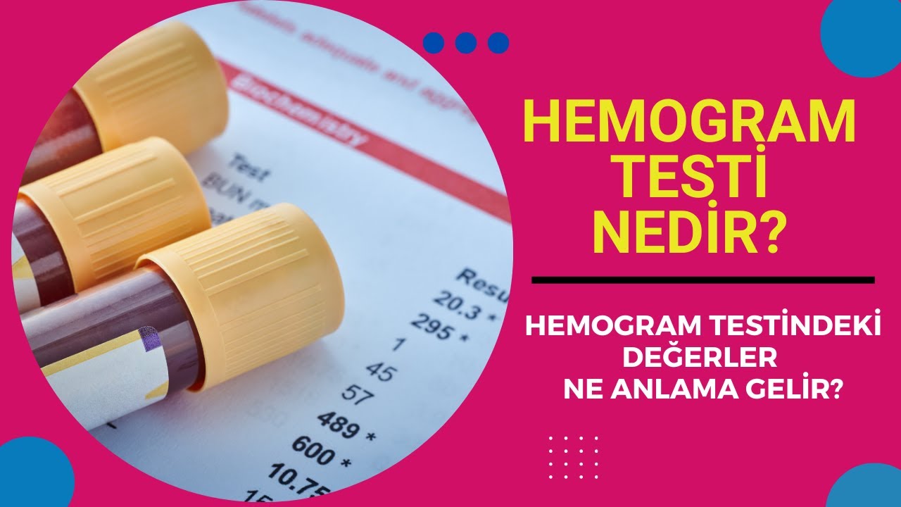 HEMOGRAM TESTİ NEDİR? HEMOGRAM TESTİNDEKİ DEĞERLER NE ANLAMA GELİR ...