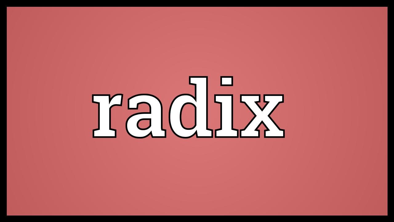 Radix Meaning YouTube Radix Meaning YouTube