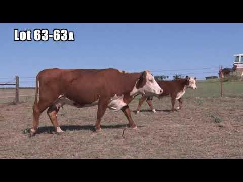 Lot 63 63A - YouTube