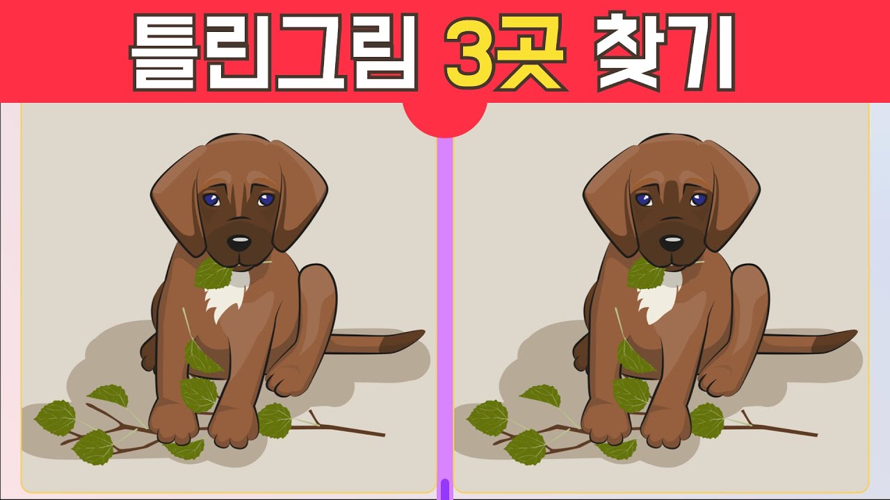 기억력 향상 프로젝트 풀 뜯는 강아지 틀린그림찾기 Find The 3 Differences 집중력 기억력 다른그림