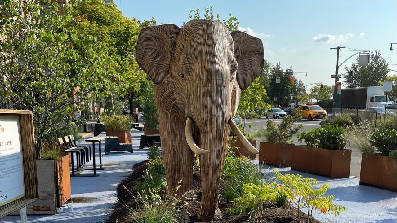 LIVE - NYC - Meatpacking District / Wooden Elephants - Sat. Sept. 14 ...