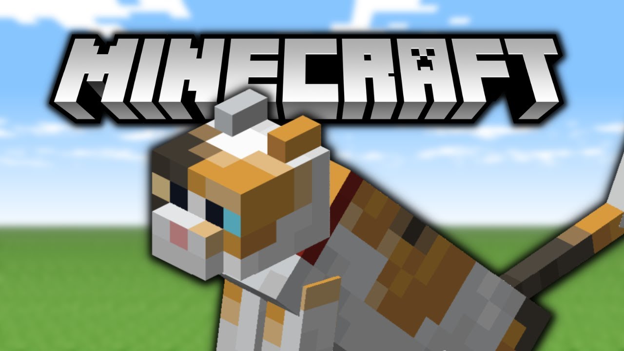 The most special cat in Minecraft! - YouTube