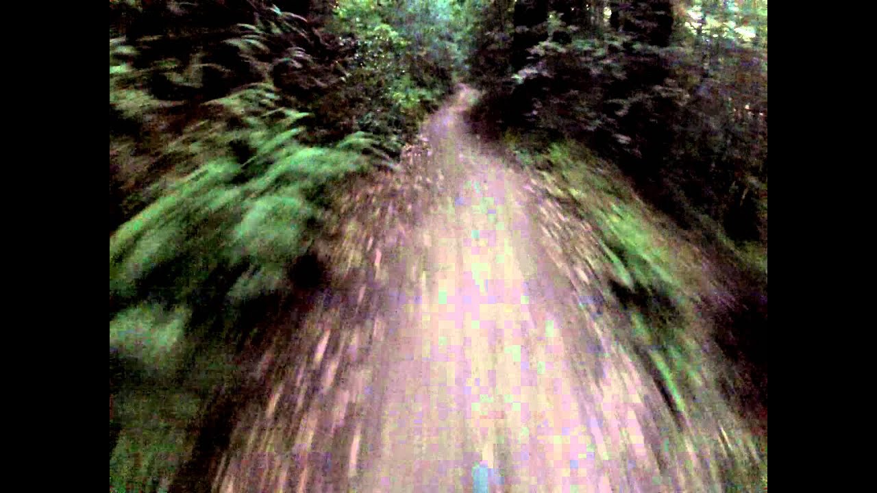 Purissima Creek Redwoods "Grabtown Gulch Trail" - YouTube