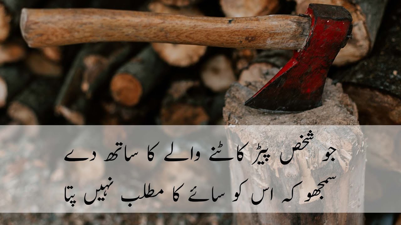 Jo shakhas per katny waly ka sath de || nisar sulehri || dukhi poetry ...