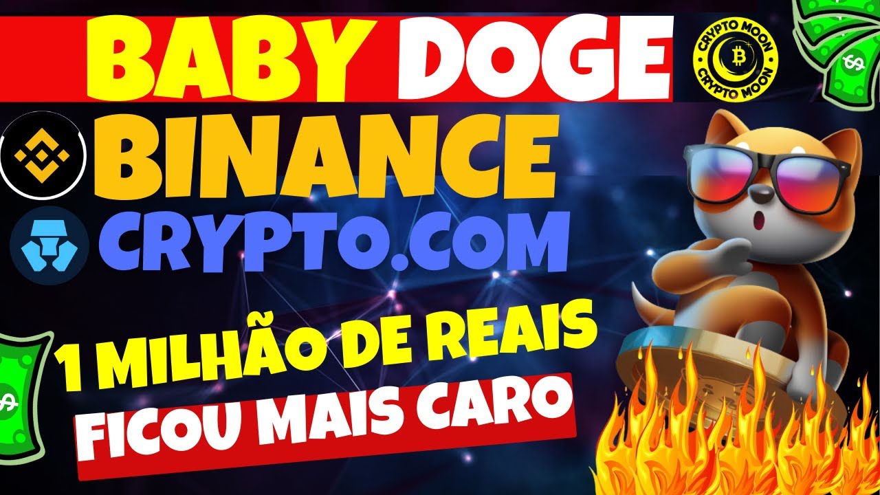 BABY DOGE AGORA l BINANCE l CRYPTO.COM, 1 MILHÃO DE REAIS QUANTO ...
