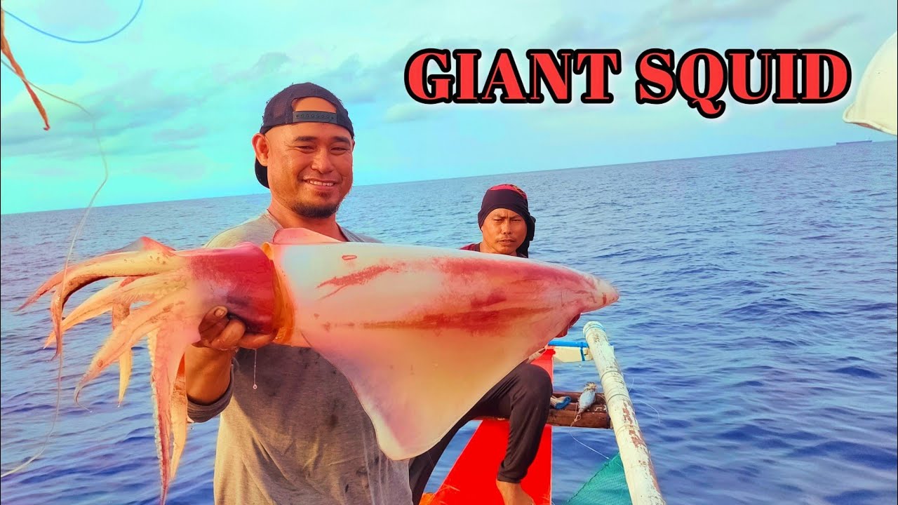 AMAZING FASTEST GIANT SQUID CATCH IN DEEP SEA | HOW GIANT SQUID CATCH ...