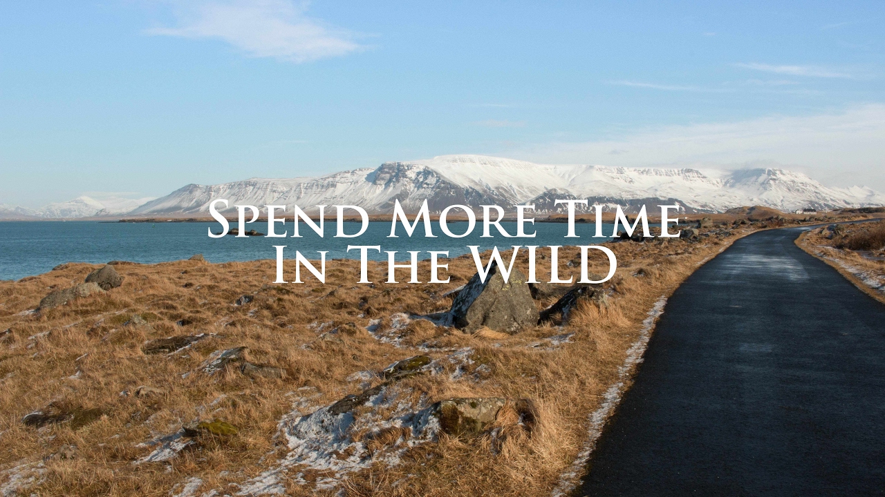 Abbie Barnes / Spend More Time In The WILD Live Stream - YouTube