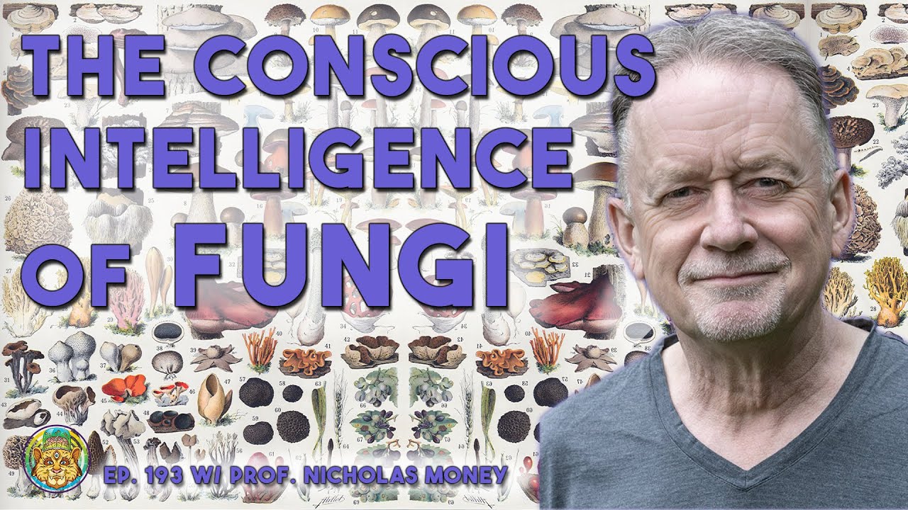 The Conscious Intelligence Of Fungi | Nicholas P. Money ~ ATTMind Podcast 193 - YouTube