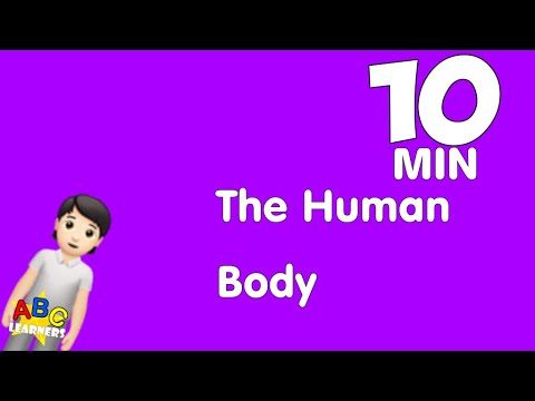 The Human Body And More | ABC Learners Kids Songs - YouTube