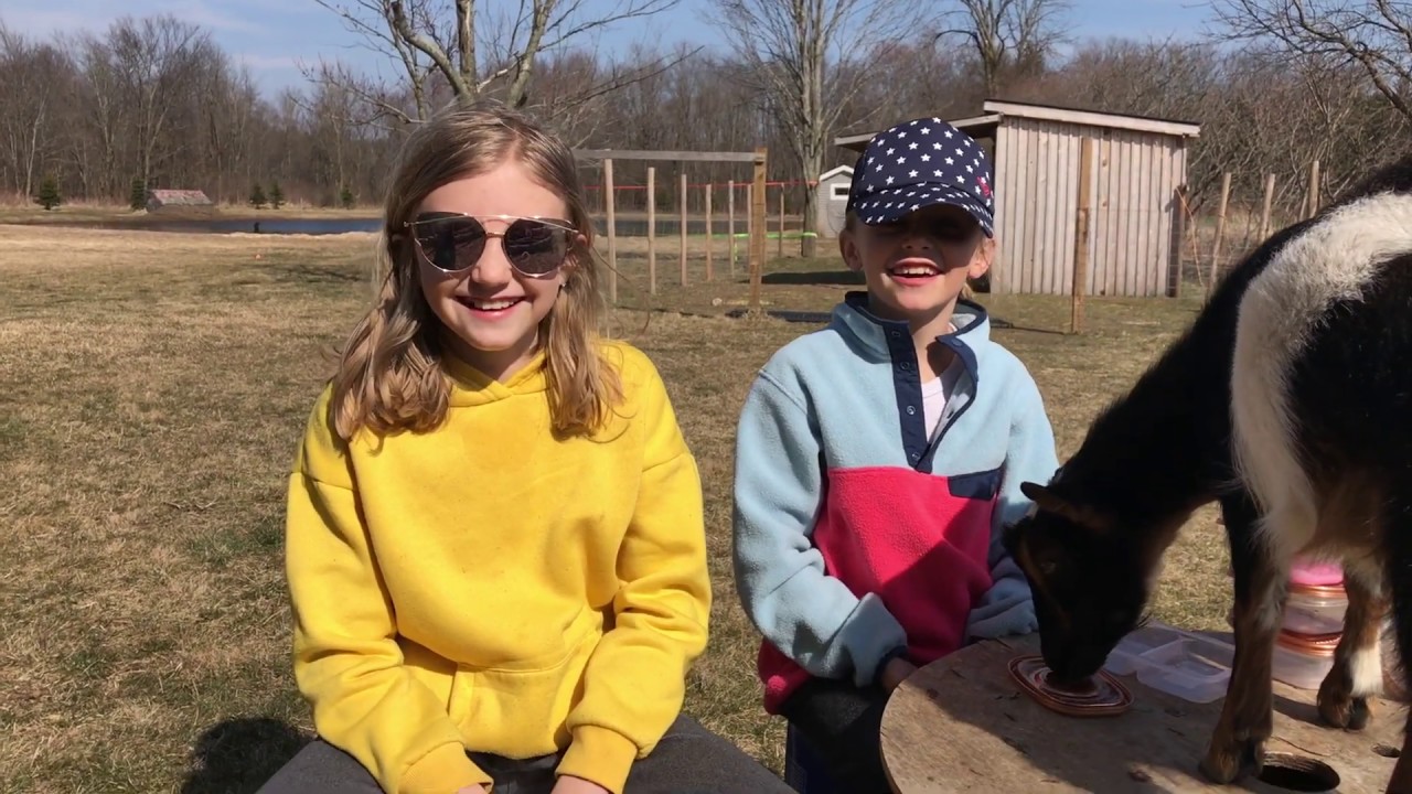 Morgan the Goat Science Experiment - YouTube