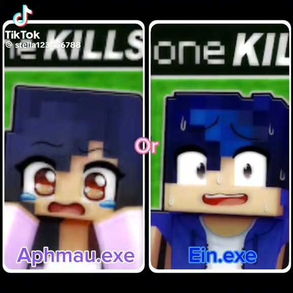 Who do you want? Aphmau.exe or Ein.exe? - YouTube