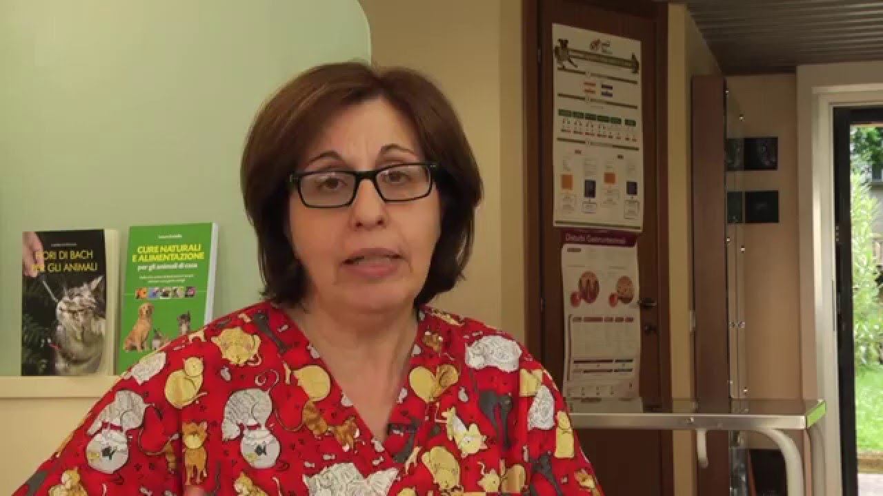 "Il miracolo di ogni giorno" intervista a Laura Cutullo - YouTube