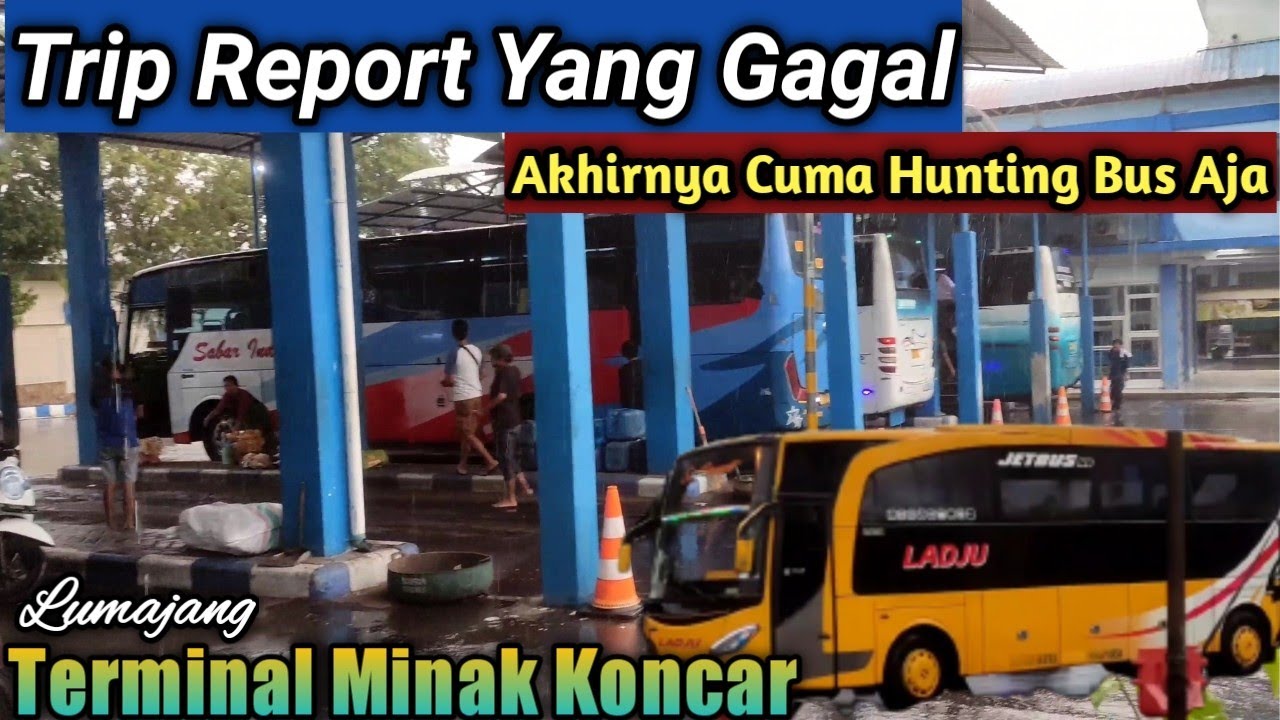 Hunting Bus Di Terminal Lumajang ll Trip Gagal Pasca Kenaikan Harga BBM ...