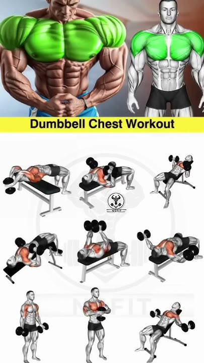 9 Powerfull Dumbbell Chest Workout to Transform Upper Body#workout #chestworkout #gym - YouTube