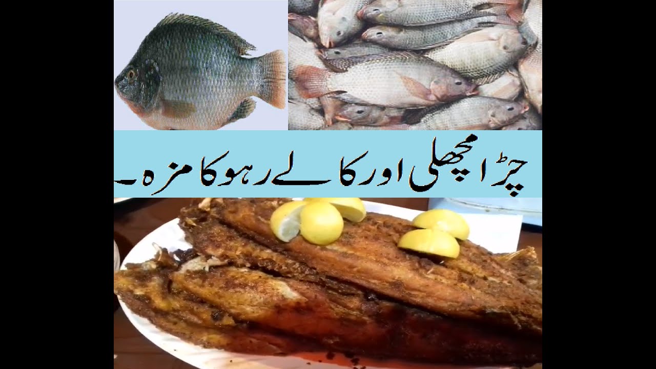 Chirra Fish & Rahoo Fish Enjoye / - YouTube