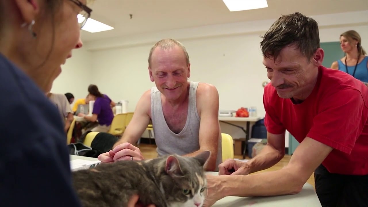 Community Veterinary Outreach - YouTube