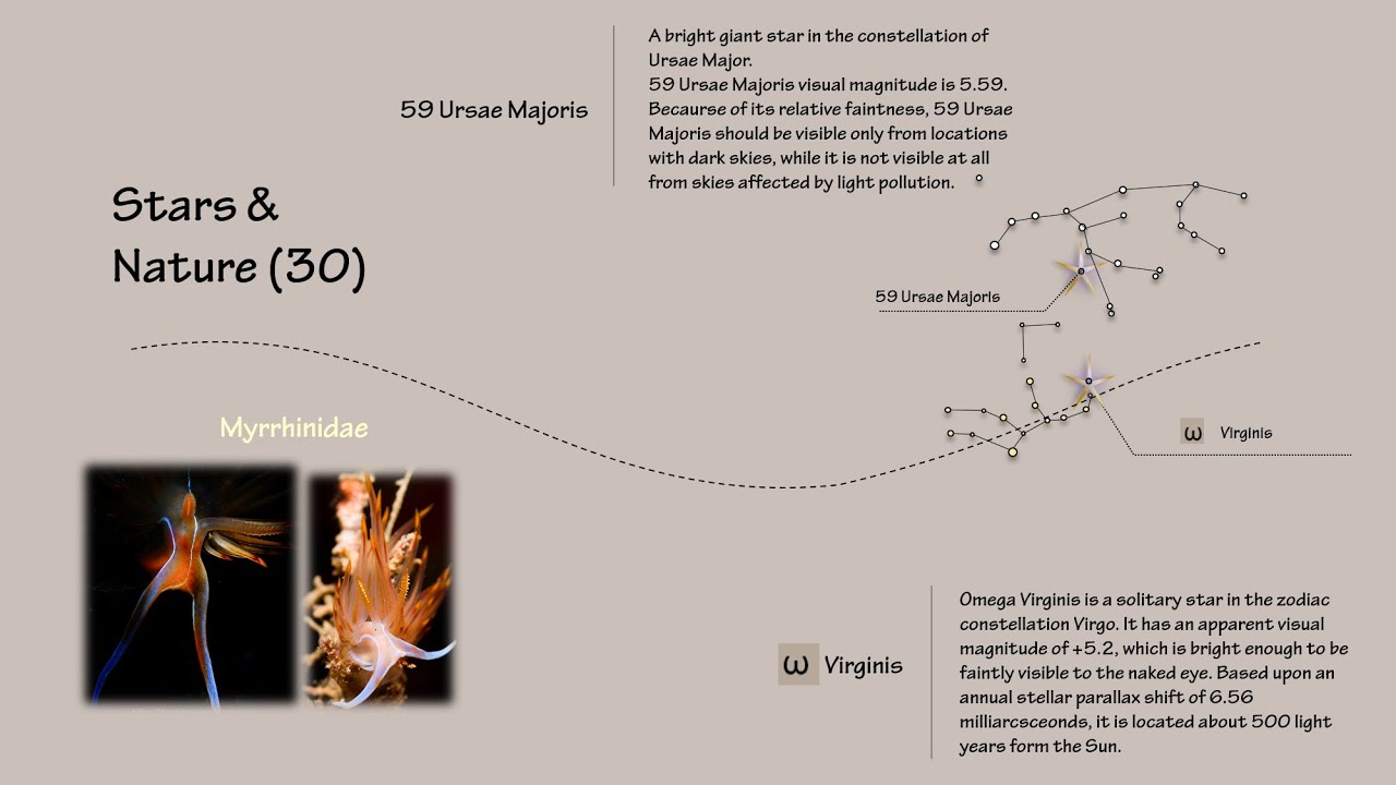 Myrrhinidae : Omega Virginis ^ 59 Ursae Majoris - YouTube