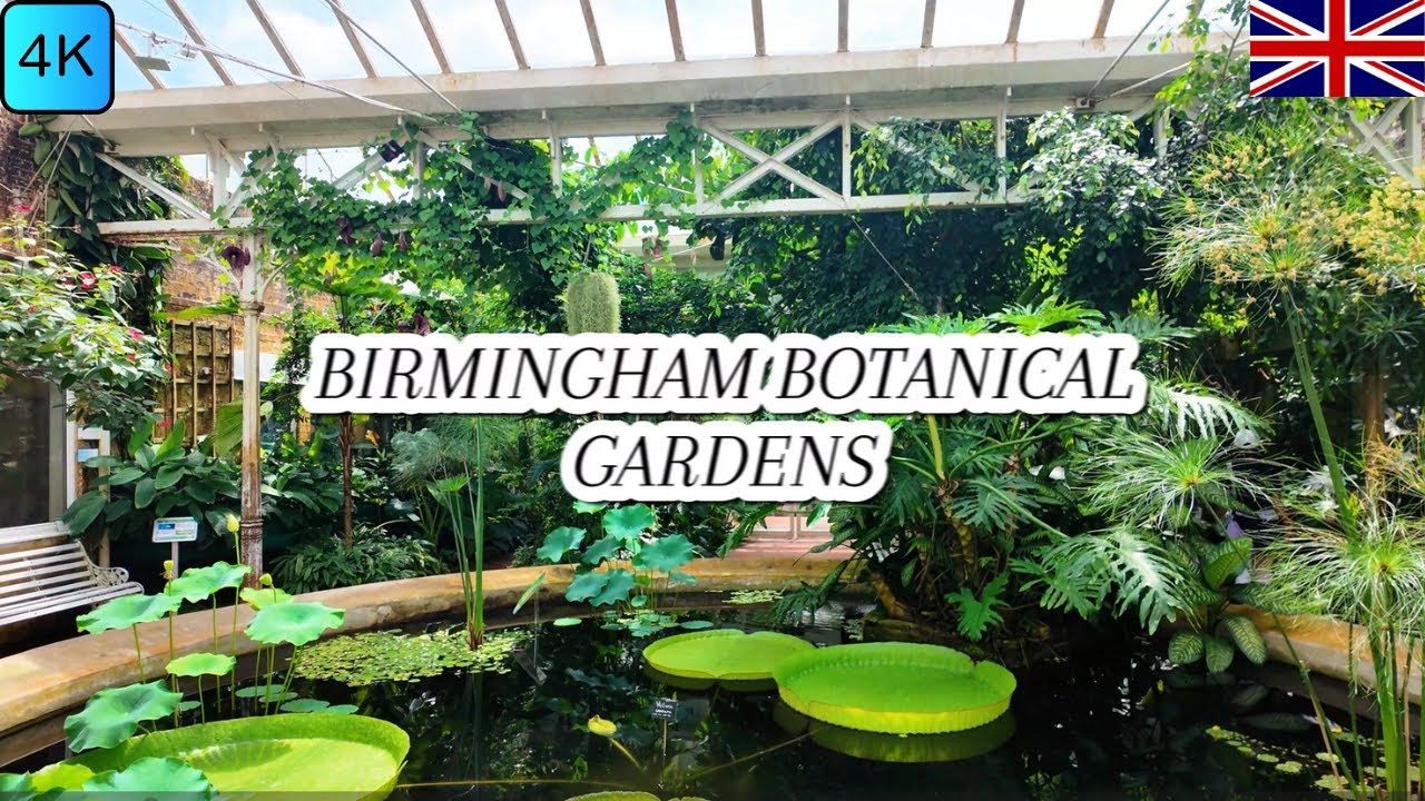 Nature Walk in Birmingham Botanical Gardens UK | A Tranquil Experience ...