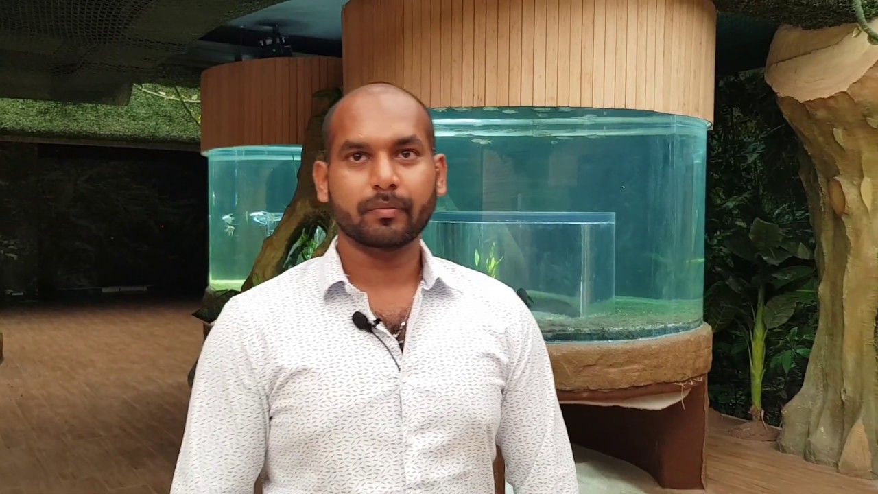 Call for support from our CEO, VGP Premdas, VGP Marine Kingdom - YouTube