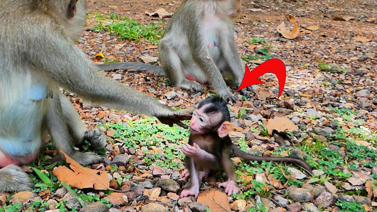 Oh no Vicky baby just want to hug and play why you push down baby until ...