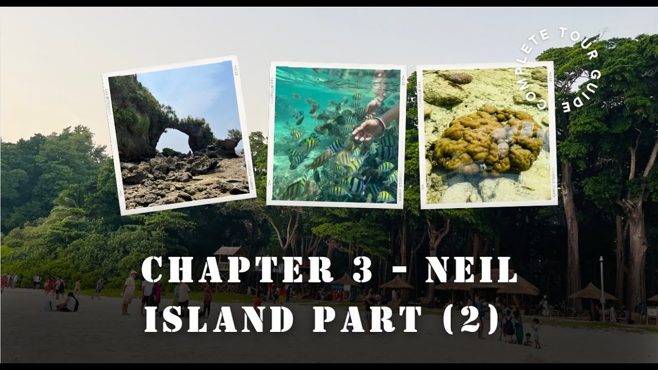 Kolkata To Andamans II Explore Neil Island II Chapter 3 - Neil Island ...