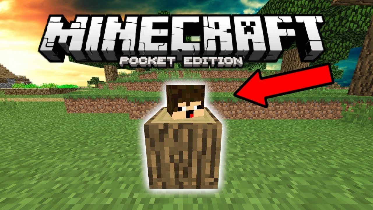 Cách Lấy Đầu Skin Trong Minecraft PE | How To Get Head Skin In ...